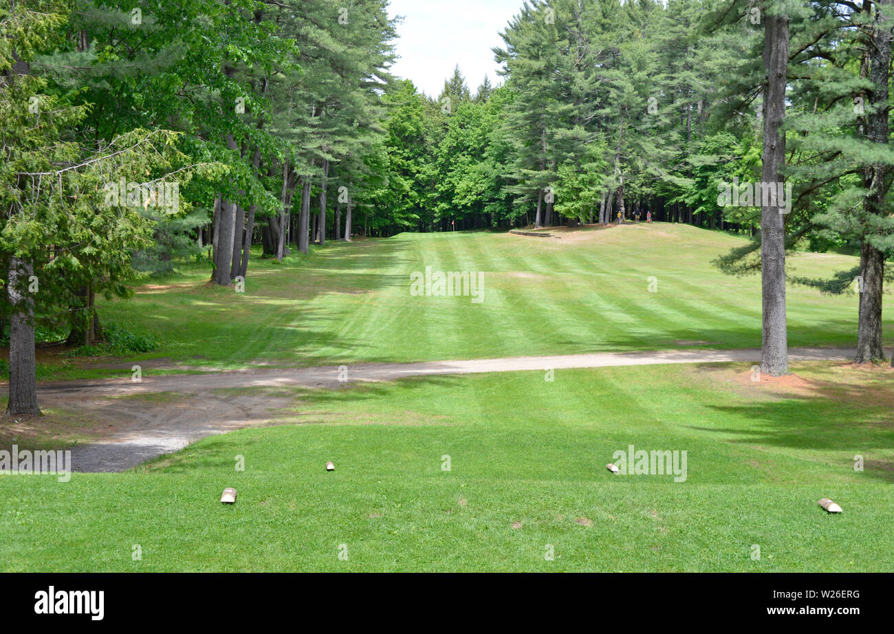 Picture of the first tee at a country golf course Stock Photo - Alamy