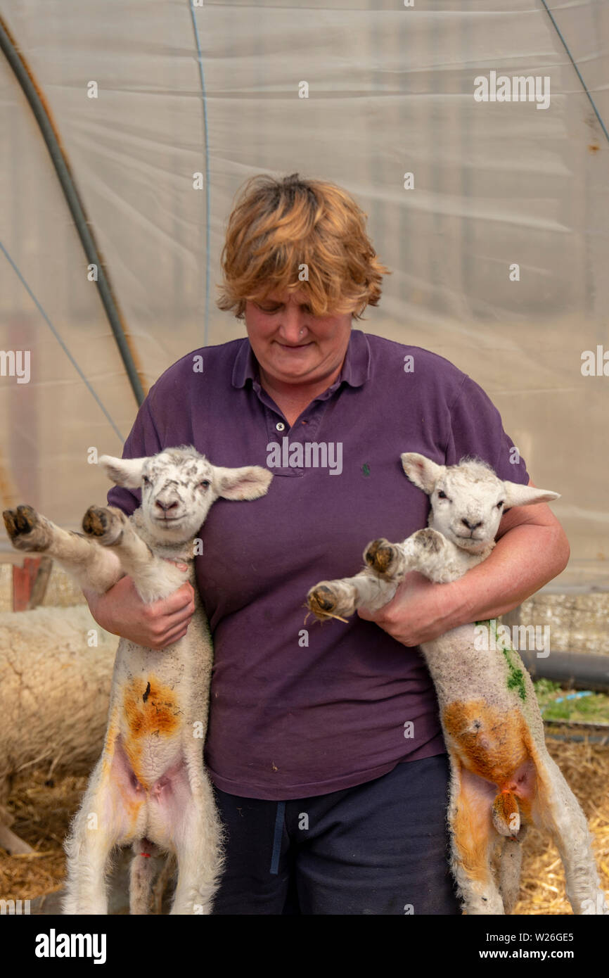 Two shepherdess hi-res stock photography and images - Alamy