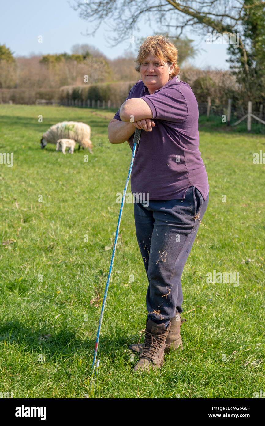 Sheep crook hi-res stock photography and images - Alamy