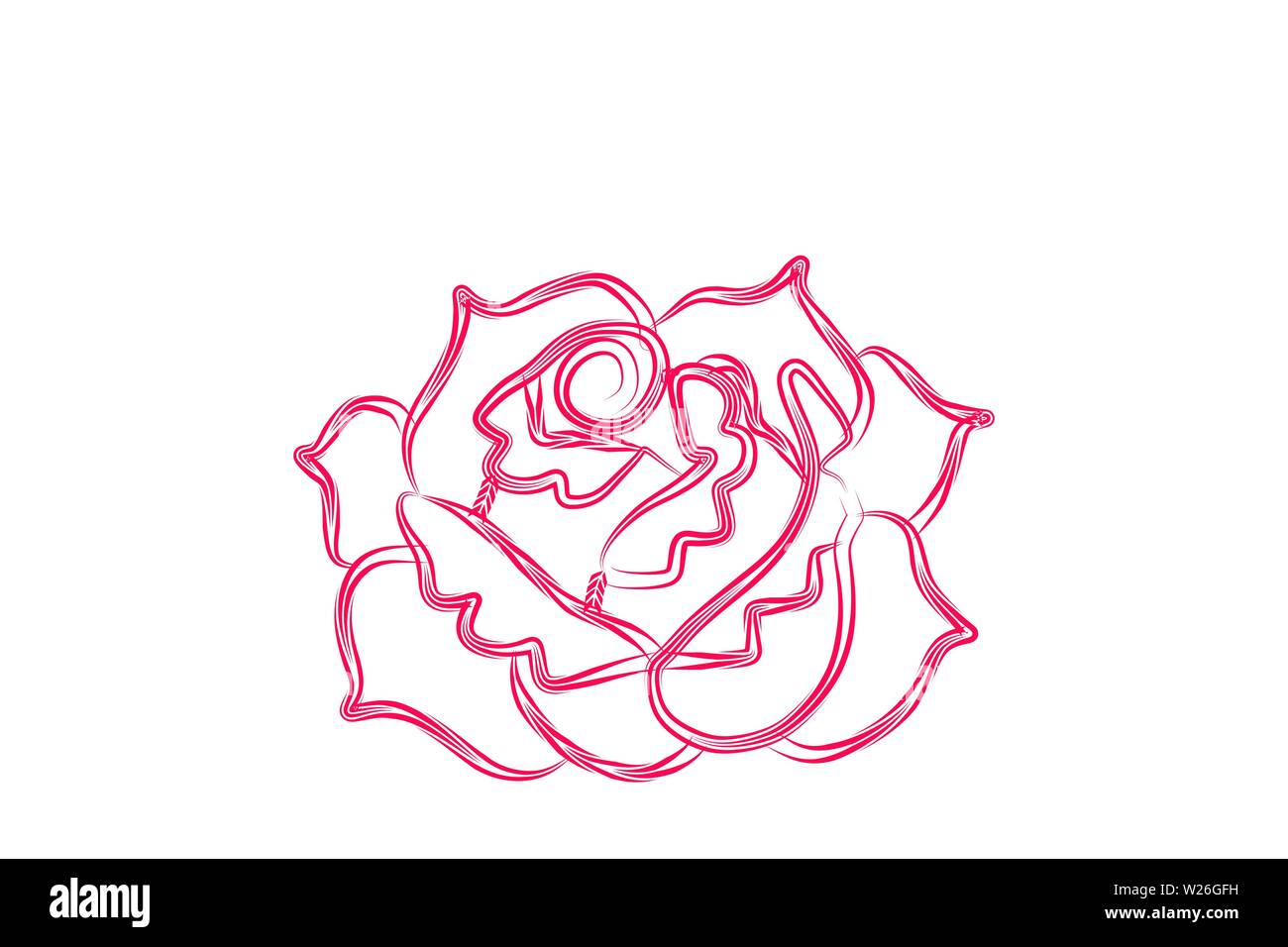 Abstract Rose Flower Logo Designs Inspiration Isolated on White ...