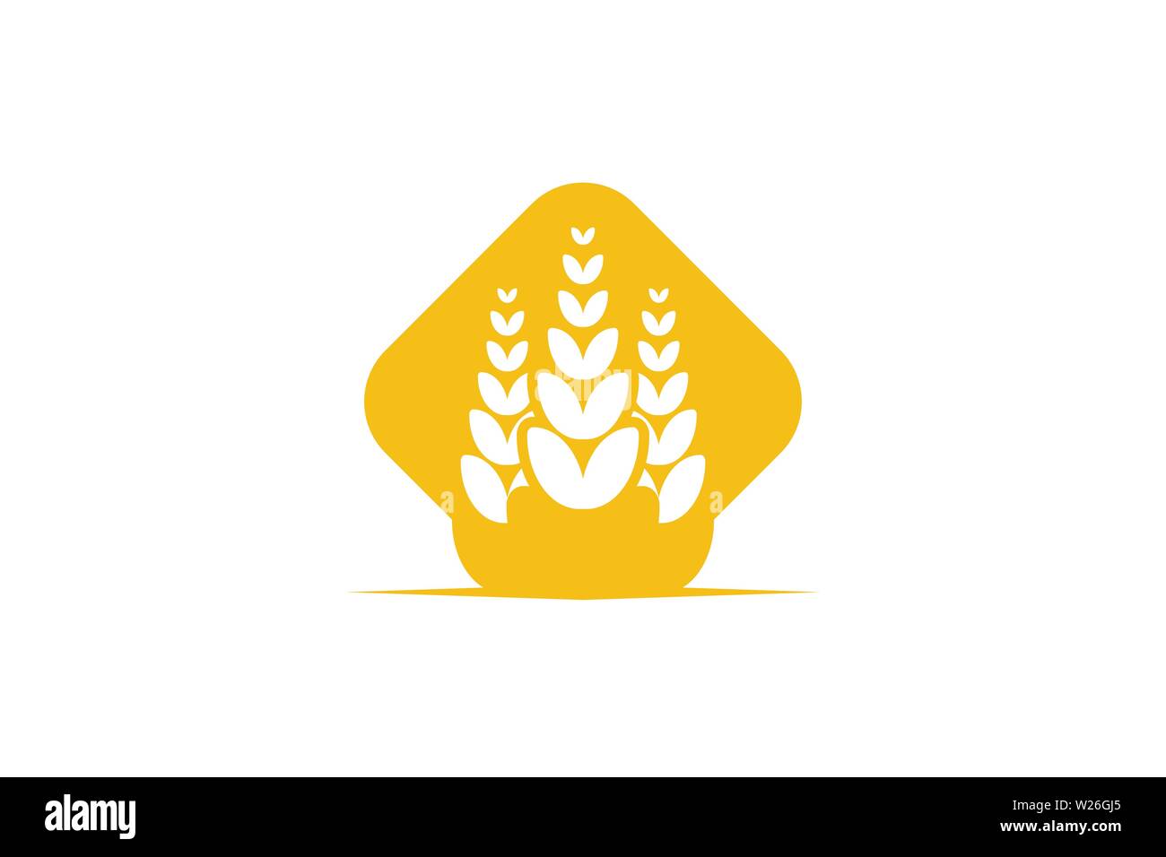 Wheat Grain Agriculture Logo Designs Inspiration Isolated on White ...