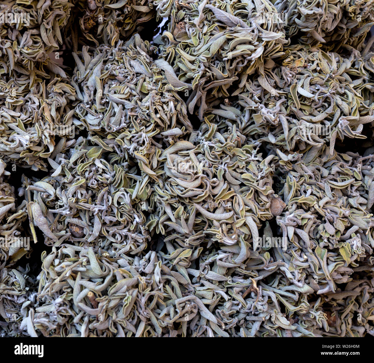 Sage Leaf Tea High Resolution Stock Photography and Images - Alamy