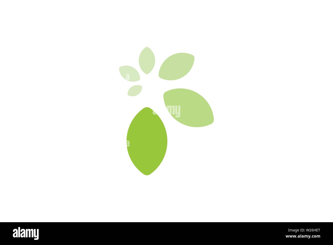 Green leaf Logo Designs Inspiration Isolated on White Background Stock ...