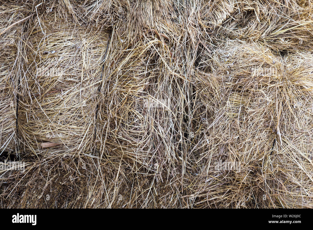 Texture and background of hay Stock Photo - Alamy