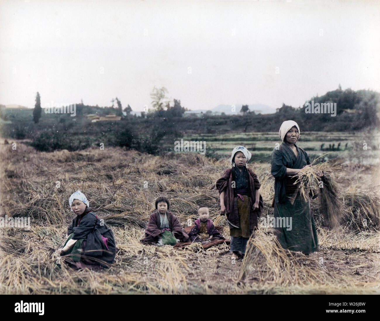 1890s agriculture hi-res stock photography and images - Alamy