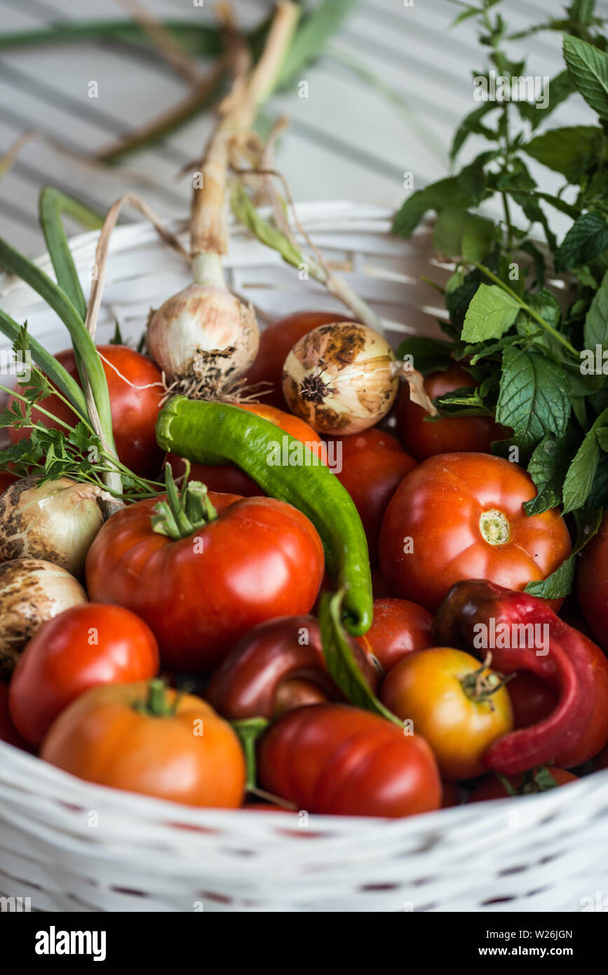 Healthy and suistanable hi-res stock photography and images - Alamy
