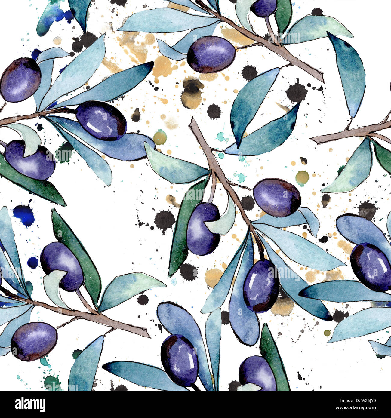 Olive branch with black fruit. Watercolor background illustration set ...