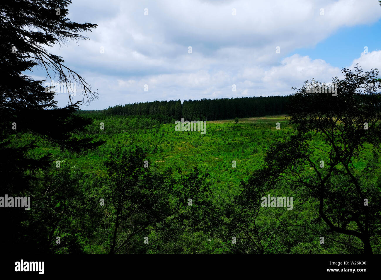 Haute fagnes hi-res stock photography and images - Alamy