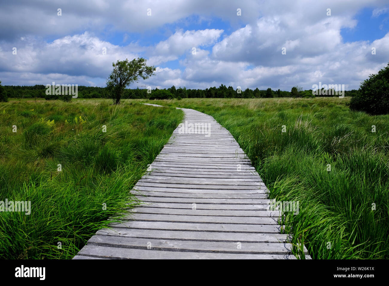 Haute fagnes hi-res stock photography and images - Alamy