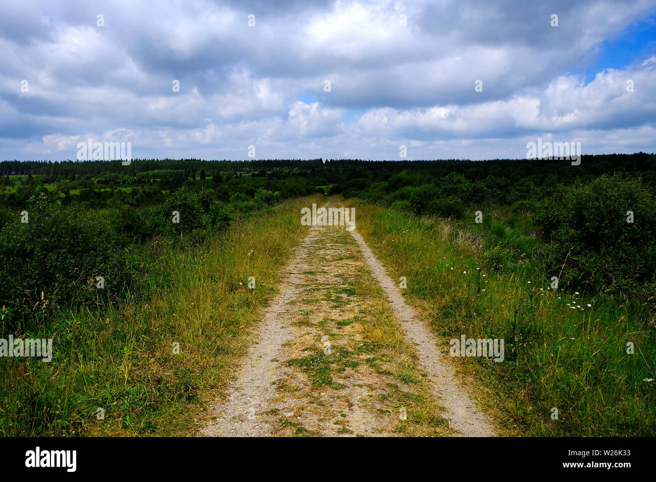Haute fagnes trail hi-res stock photography and images - Alamy