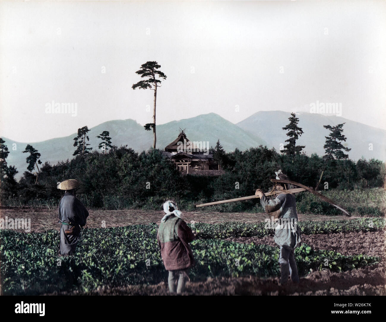 Victorian 19th century farming hi-res stock photography and images - Alamy