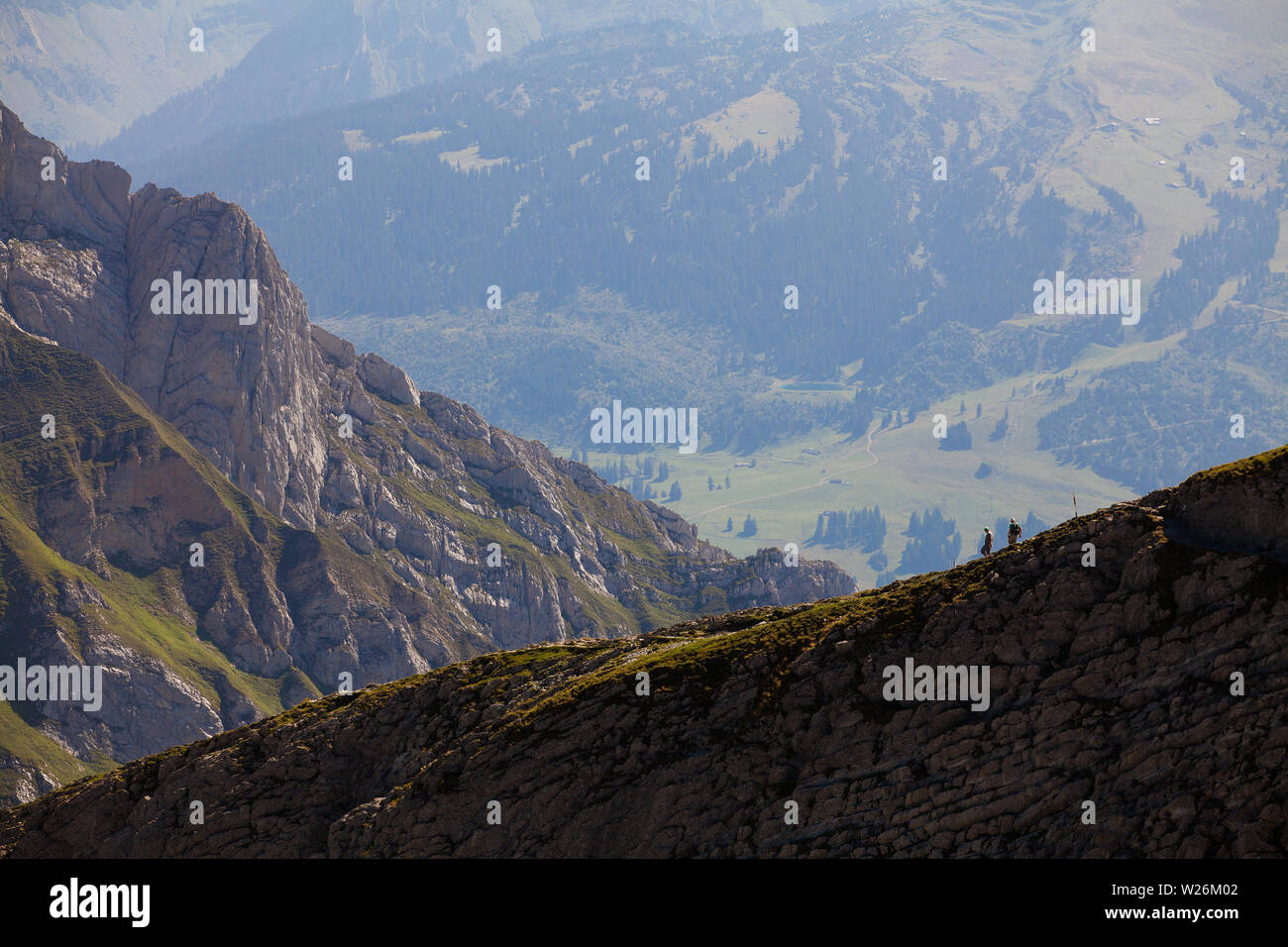swiss alpes view from the Säntis peak Stock Photo - Alamy