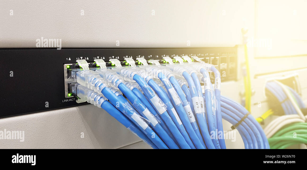 Row of blue UTP network cables that are connected to a switch,Network ...