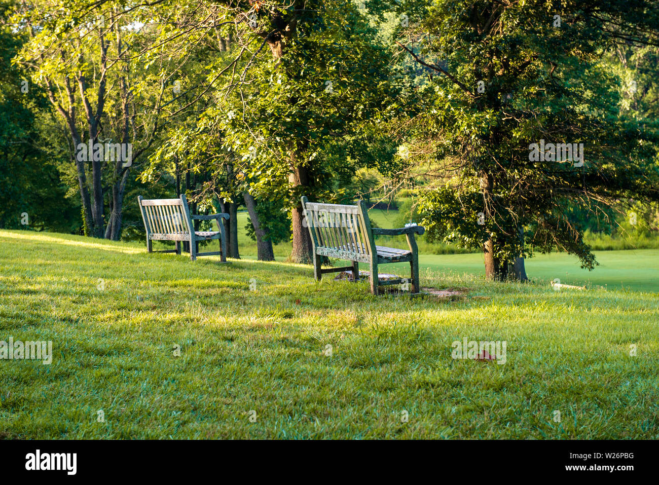 Two park benches on a hill are bathed in early morning light in an ...