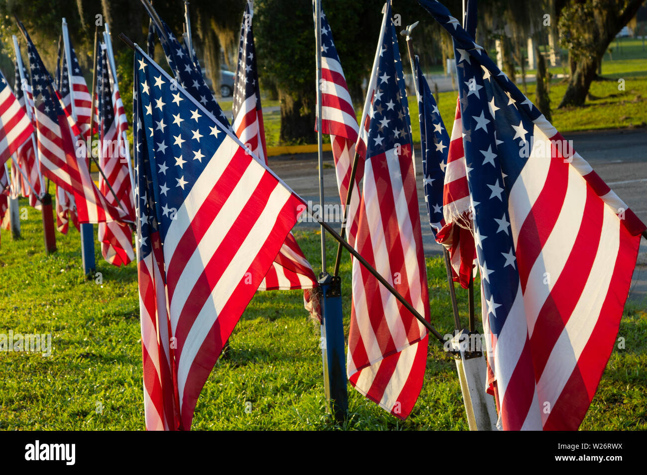 American flags displayed on Independence Day, the 4th. of July Stock ...