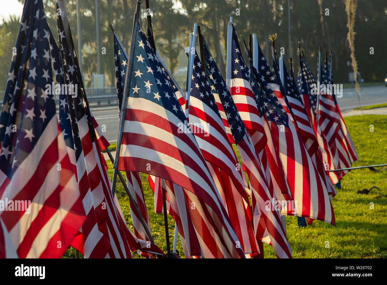 American flags displayed on Independence Day, the 4th. of July Stock ...