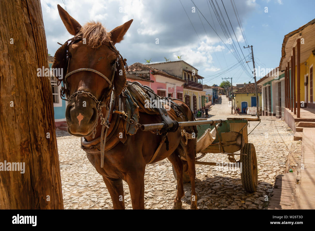 Horse Carriage in the streets of a small Cuban Town during a vibrant ...