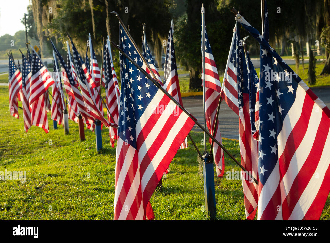 American flags displayed on Independence Day, the 4th. of July Stock ...