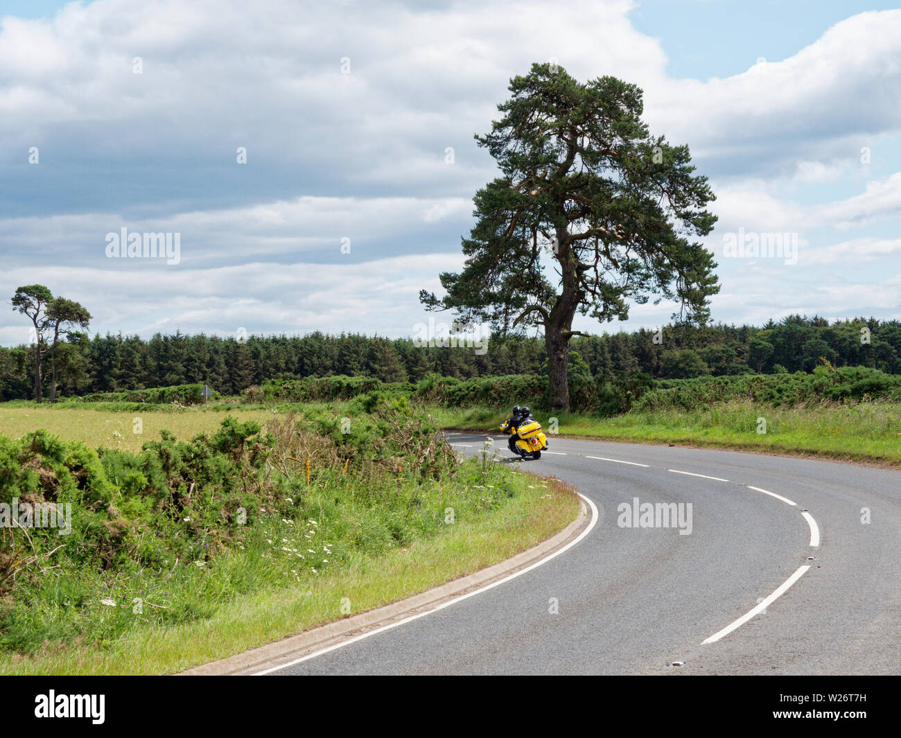 Harley Davidson Motorbikes on a Country Road near to Friockheim in ...