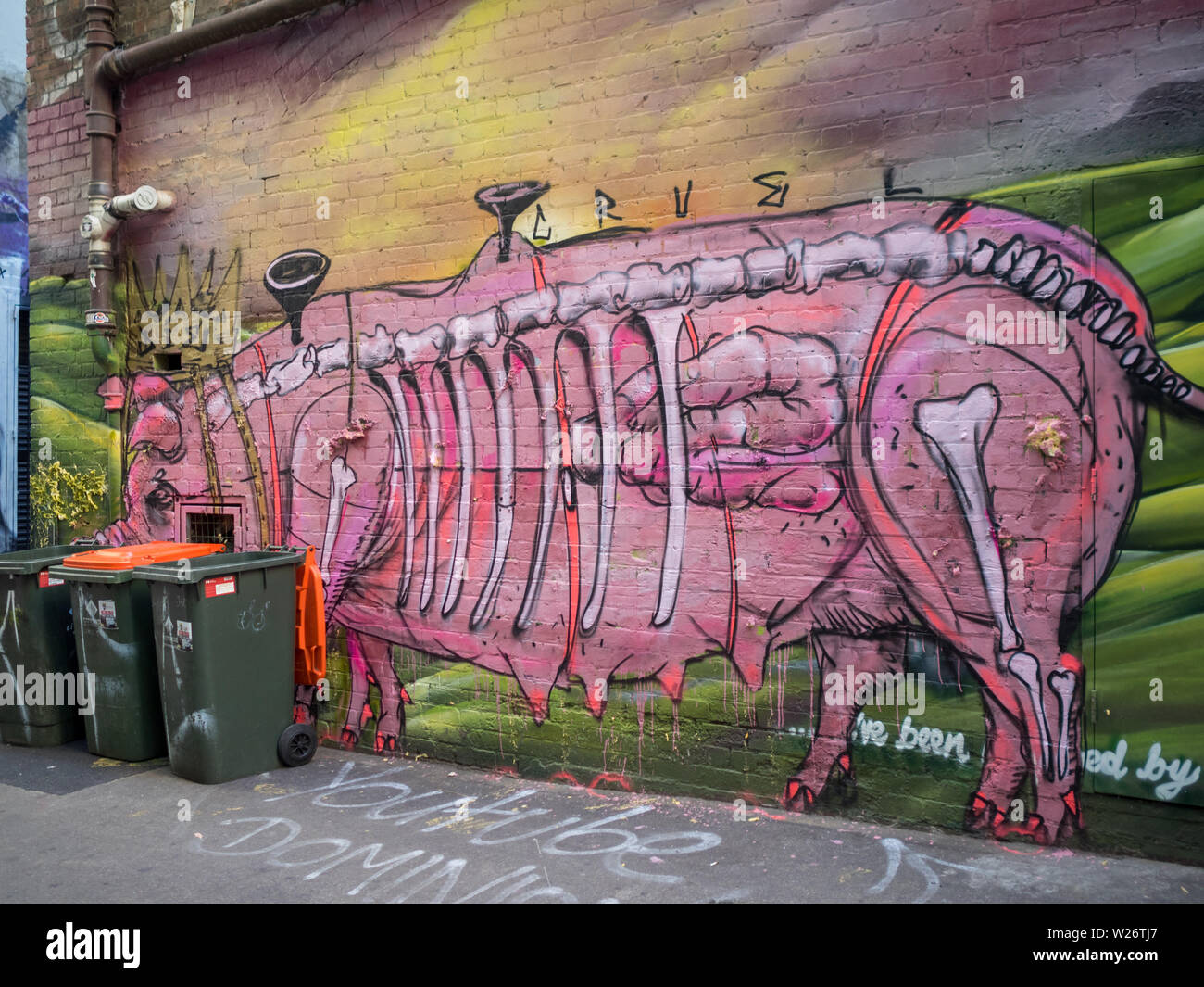 Duckboard Place street art, Melbourne Stock Photo - Alamy