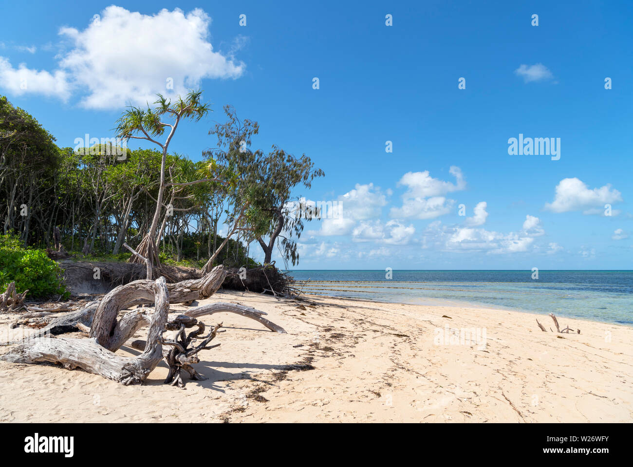 Coral sandy hi-res stock photography and images - Alamy