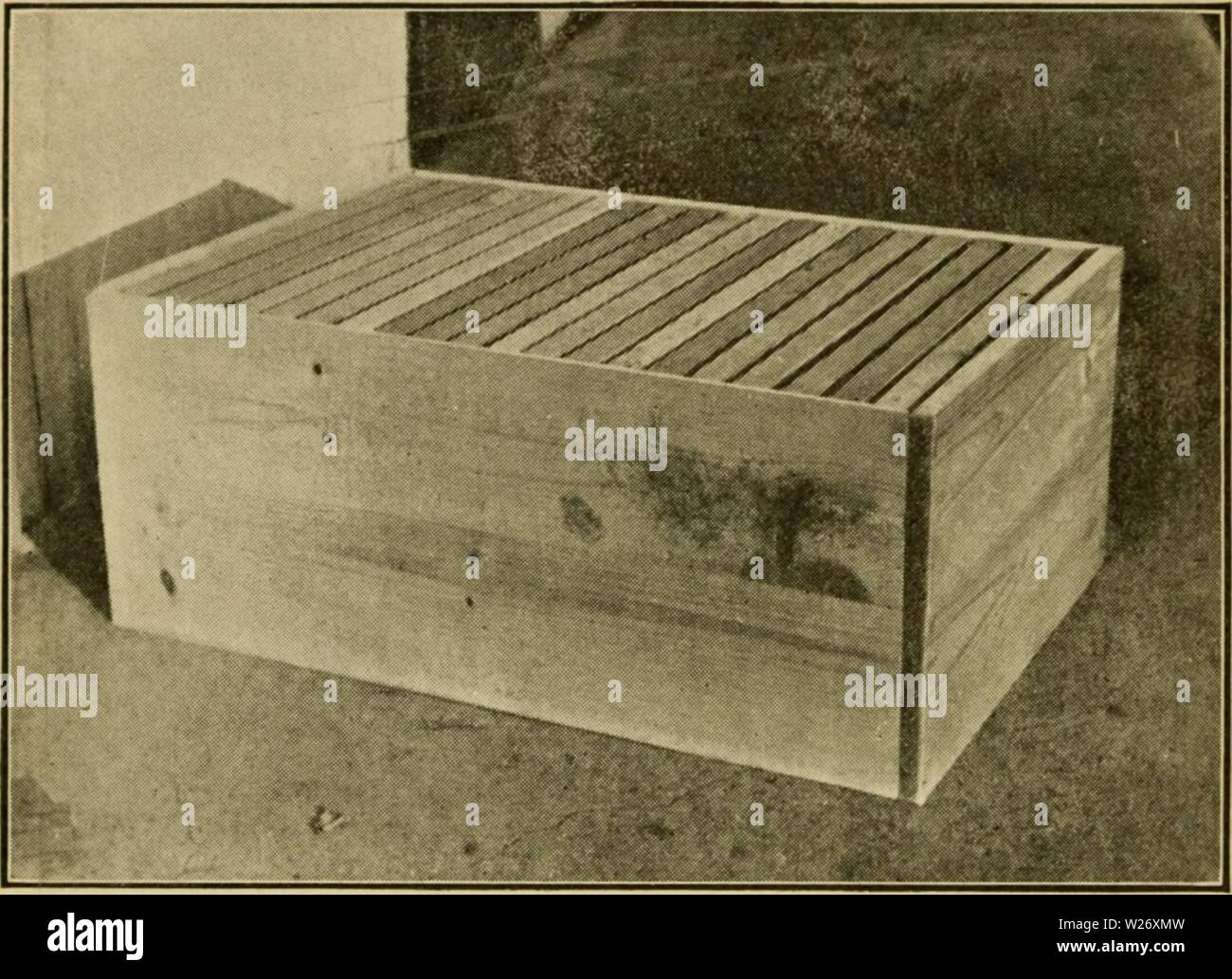 Archive image from page 25 of Dadant system of beekeeping (1920 ...
