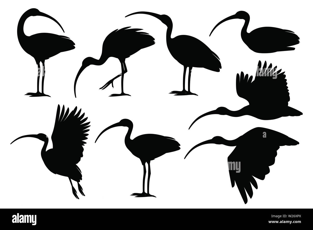 Side view on red Black and White Stock Photos & Images - Alamy