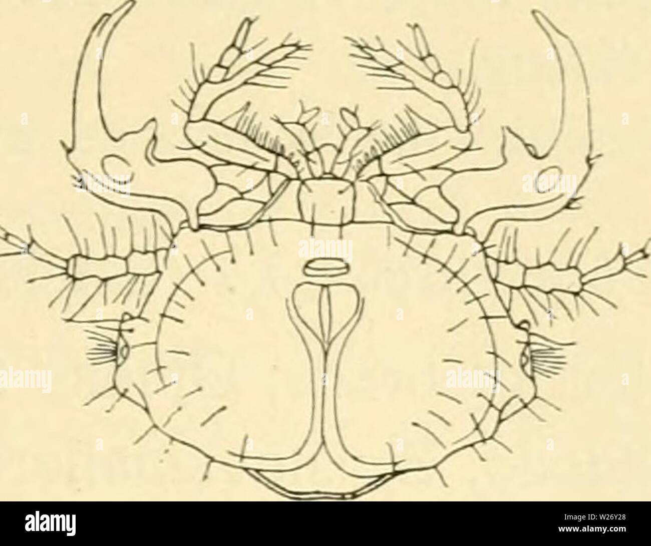 Til kai hi-res stock photography and images - Alamy