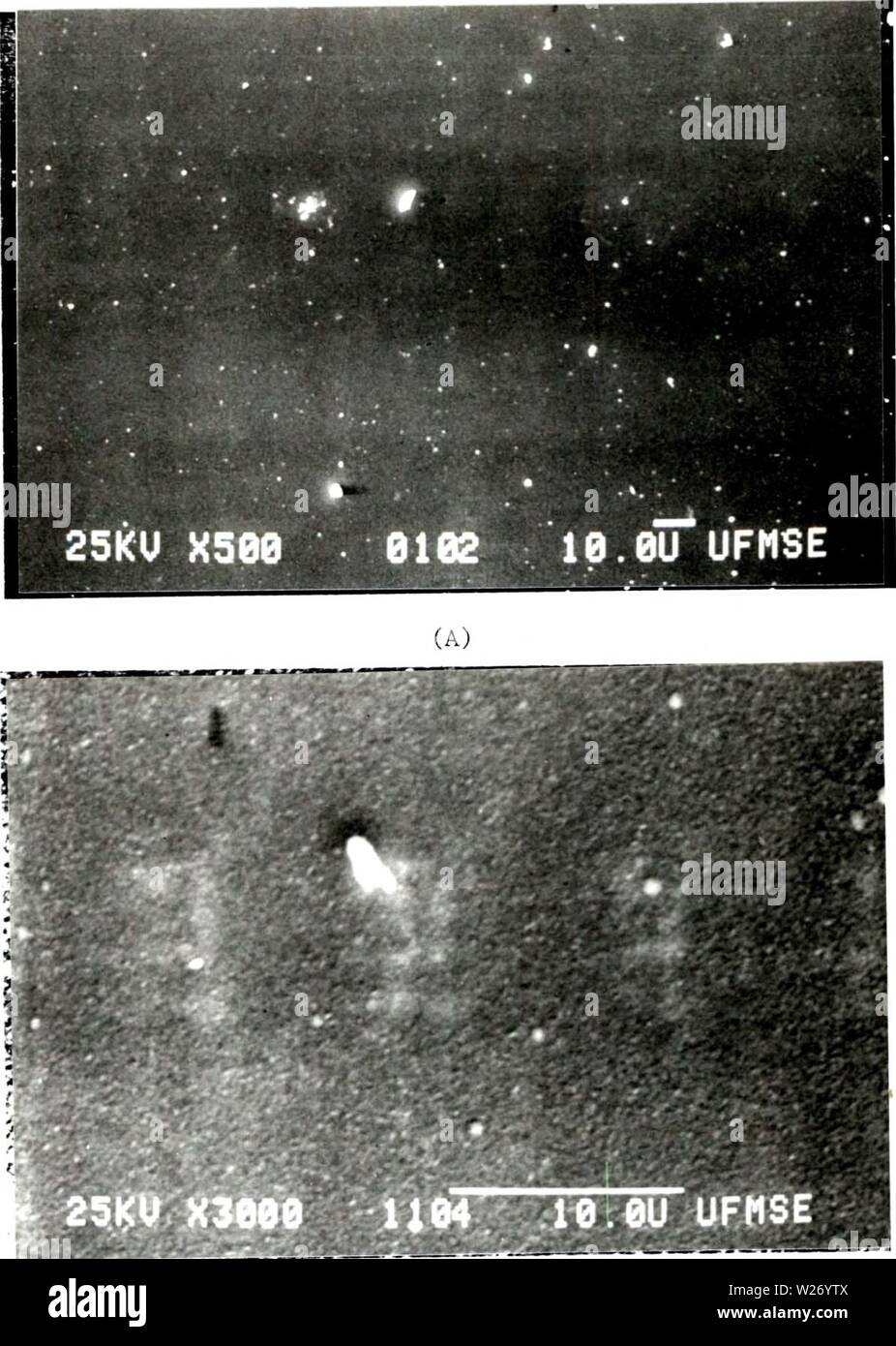 Archive image from page 27 of Deposition, corrosion and coloration of ...