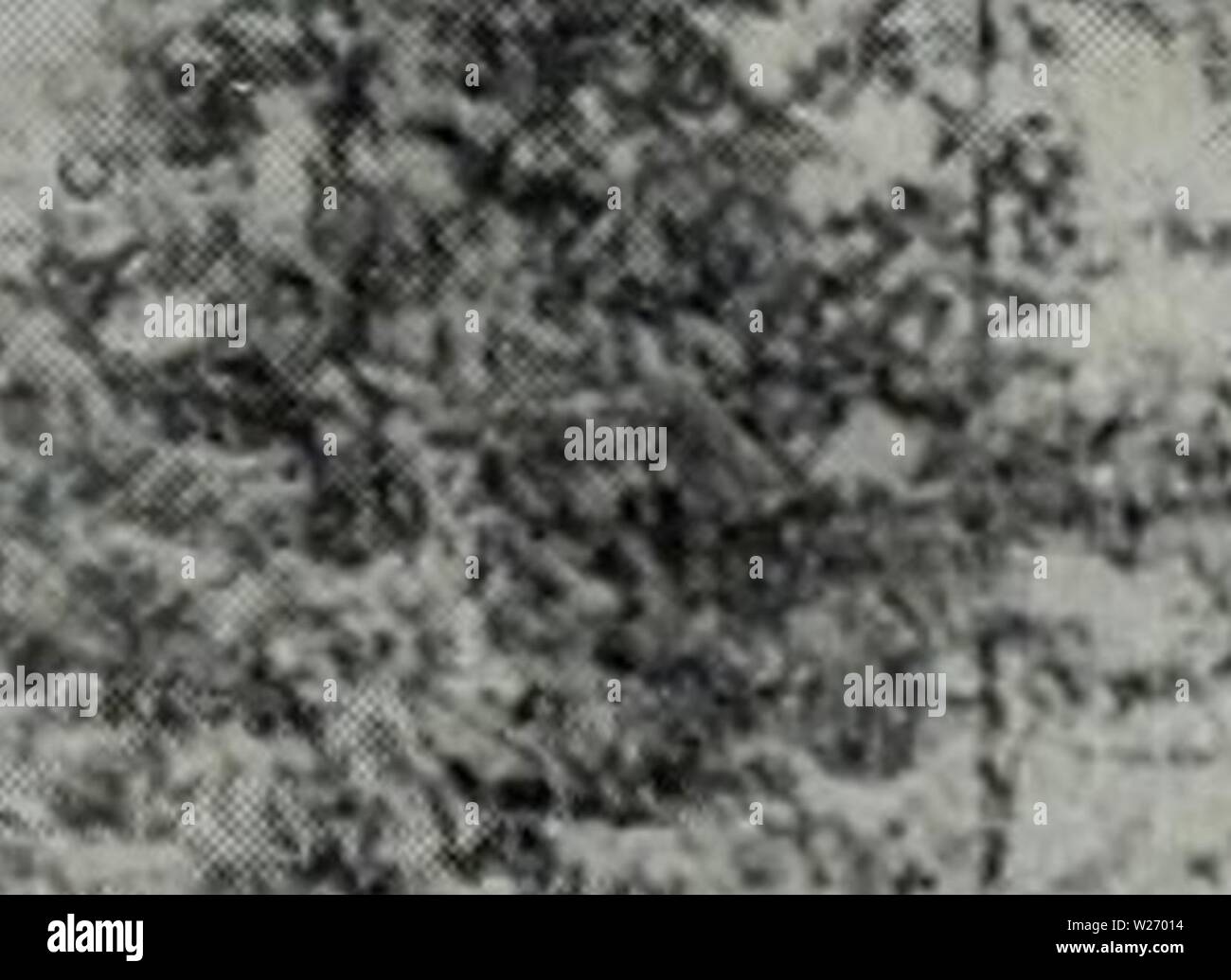 Su cha hi-res stock photography and images - Alamy