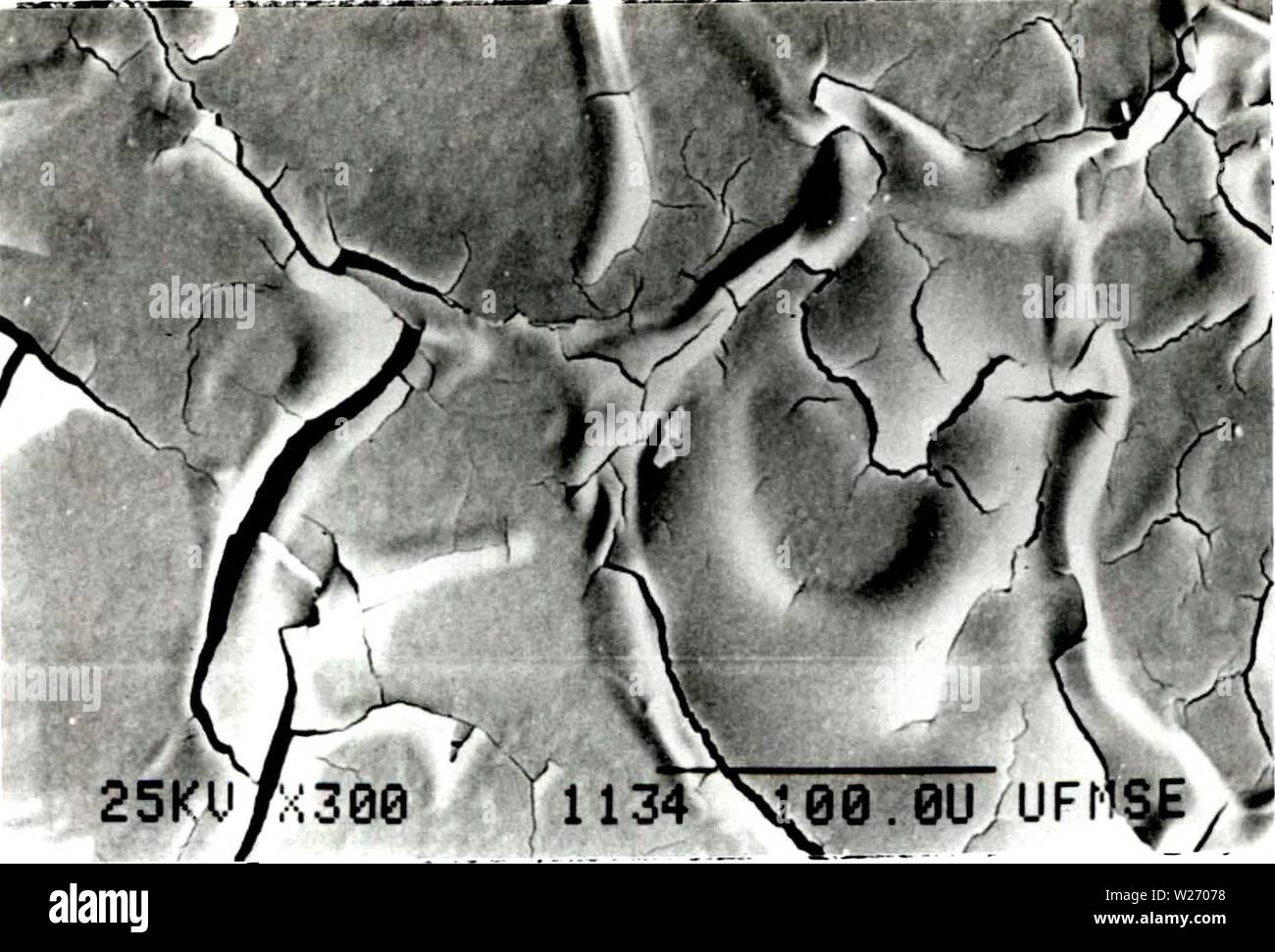 Archive image from page 28 of Deposition, corrosion and coloration of ...
