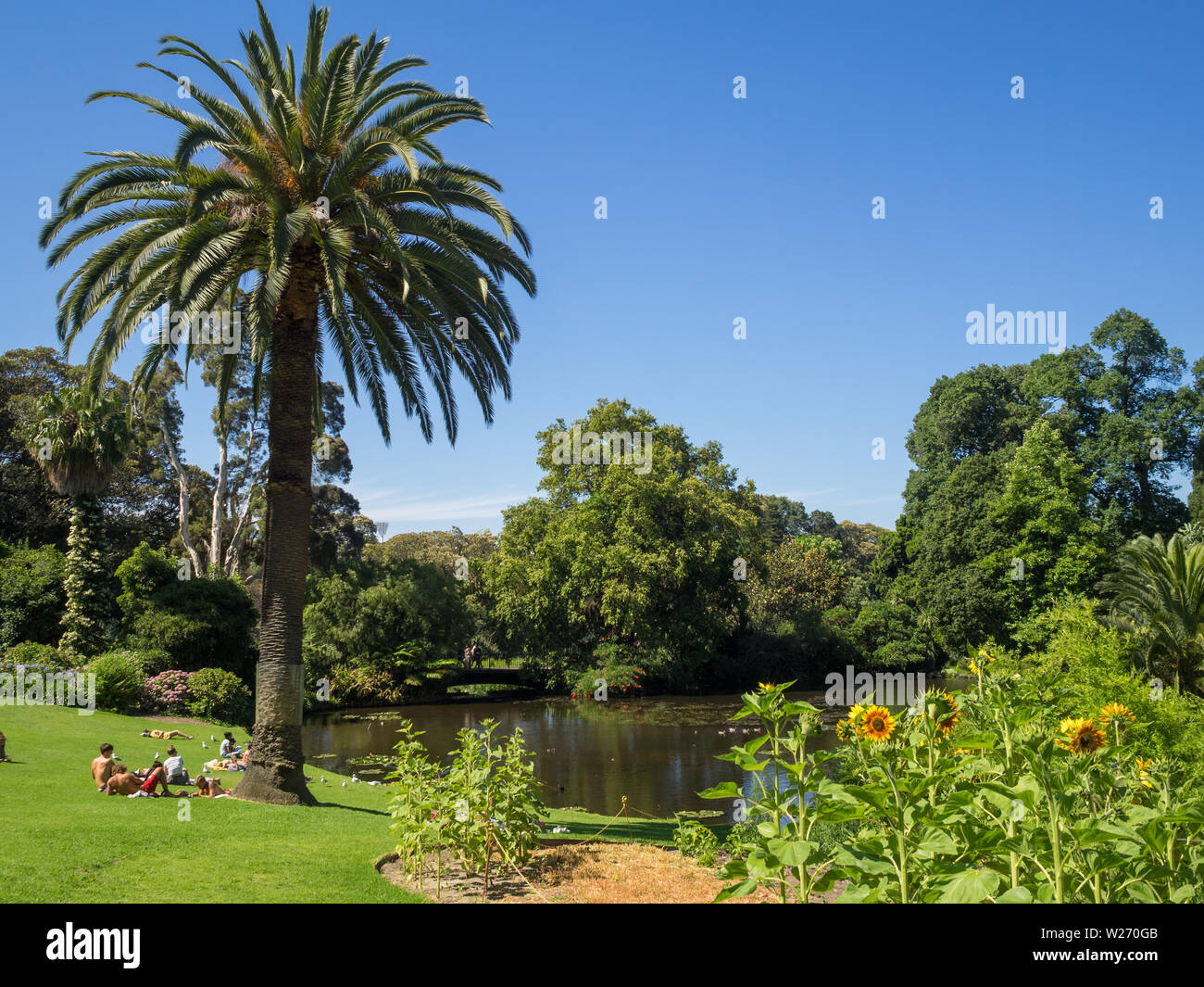 Melbourne's Royal Botanic Gardens Stock Photo - Alamy