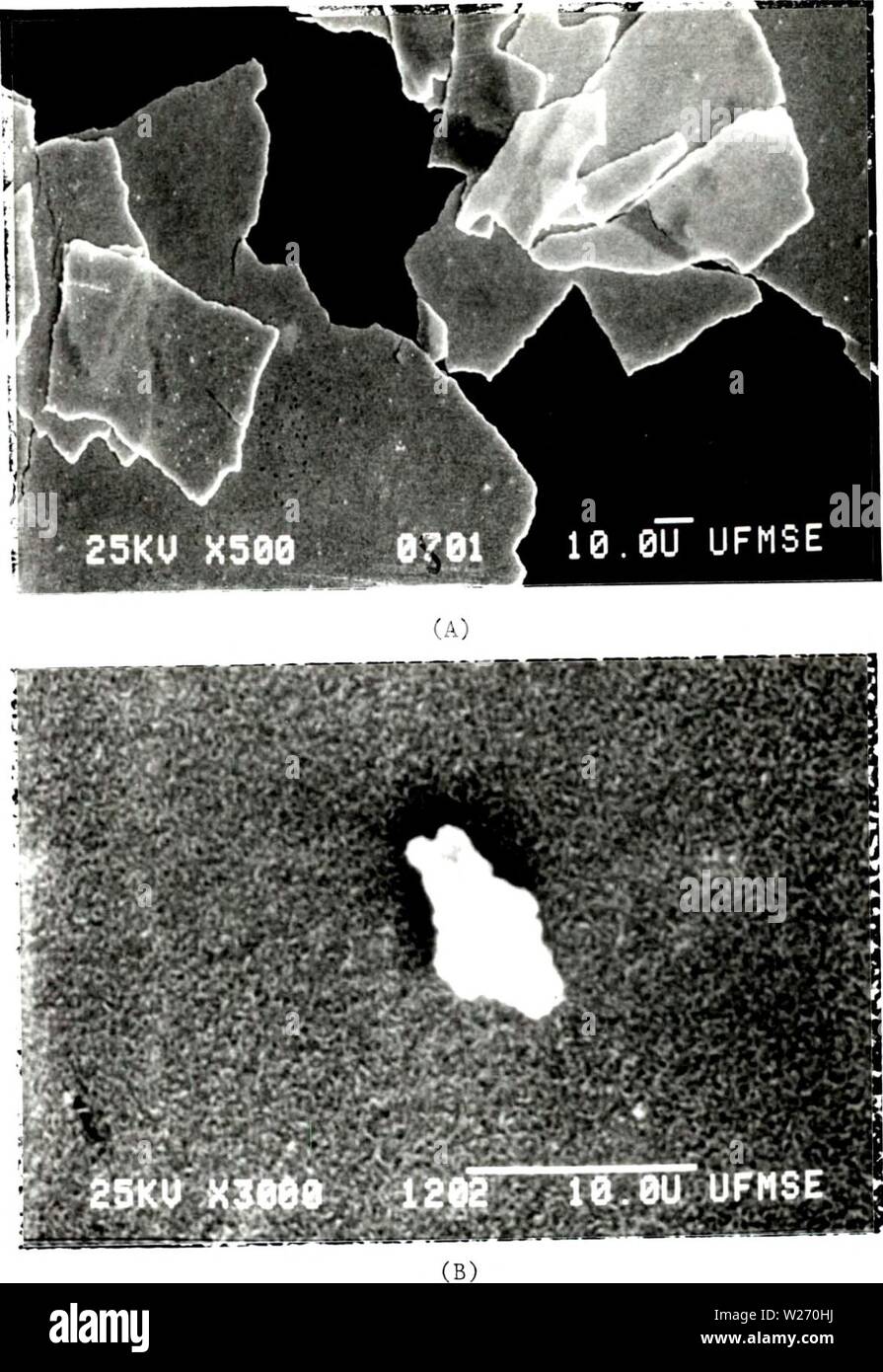 Archive image from page 29 of Deposition, corrosion and coloration of ...