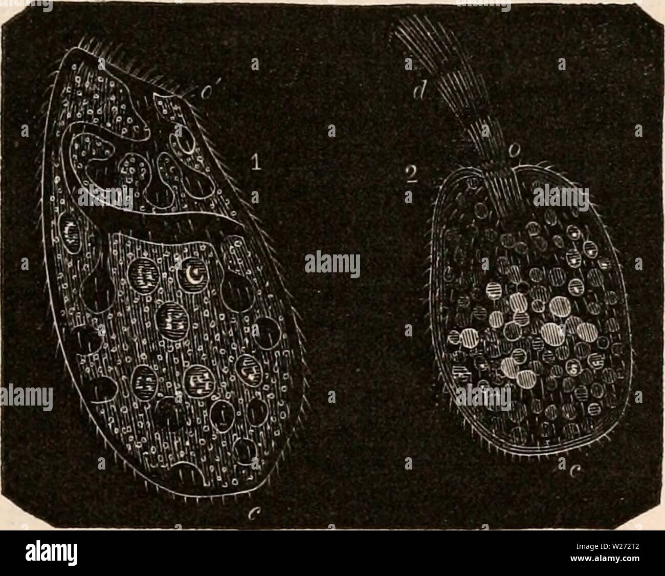 Spherical body hi-res stock photography and images - Alamy