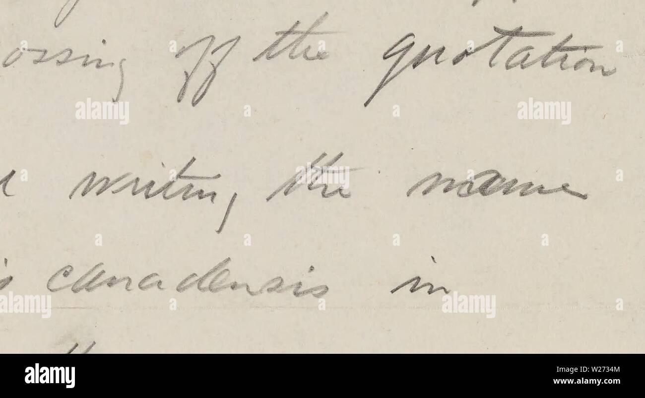 Archive image from page 36 of Curtis Gates Lloyd letters to Stock Photo ...