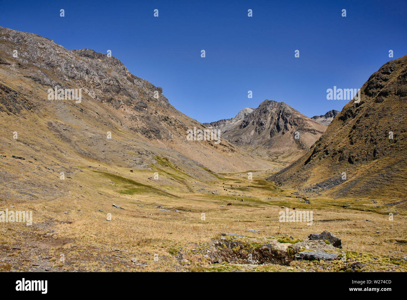 Scenery along the Cordillera Real mountain range, Bolivia Stock Photo ...