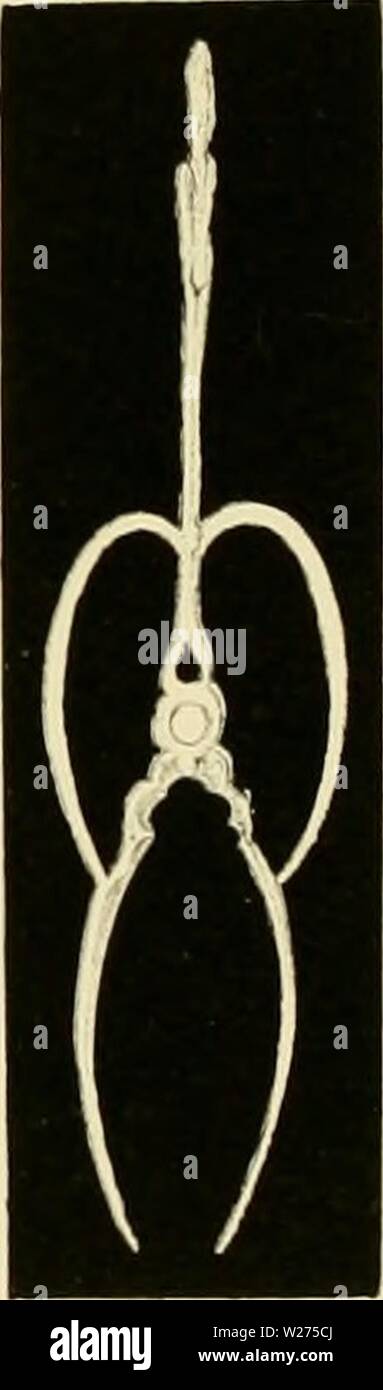 Ltof hi-res stock photography and images - Alamy