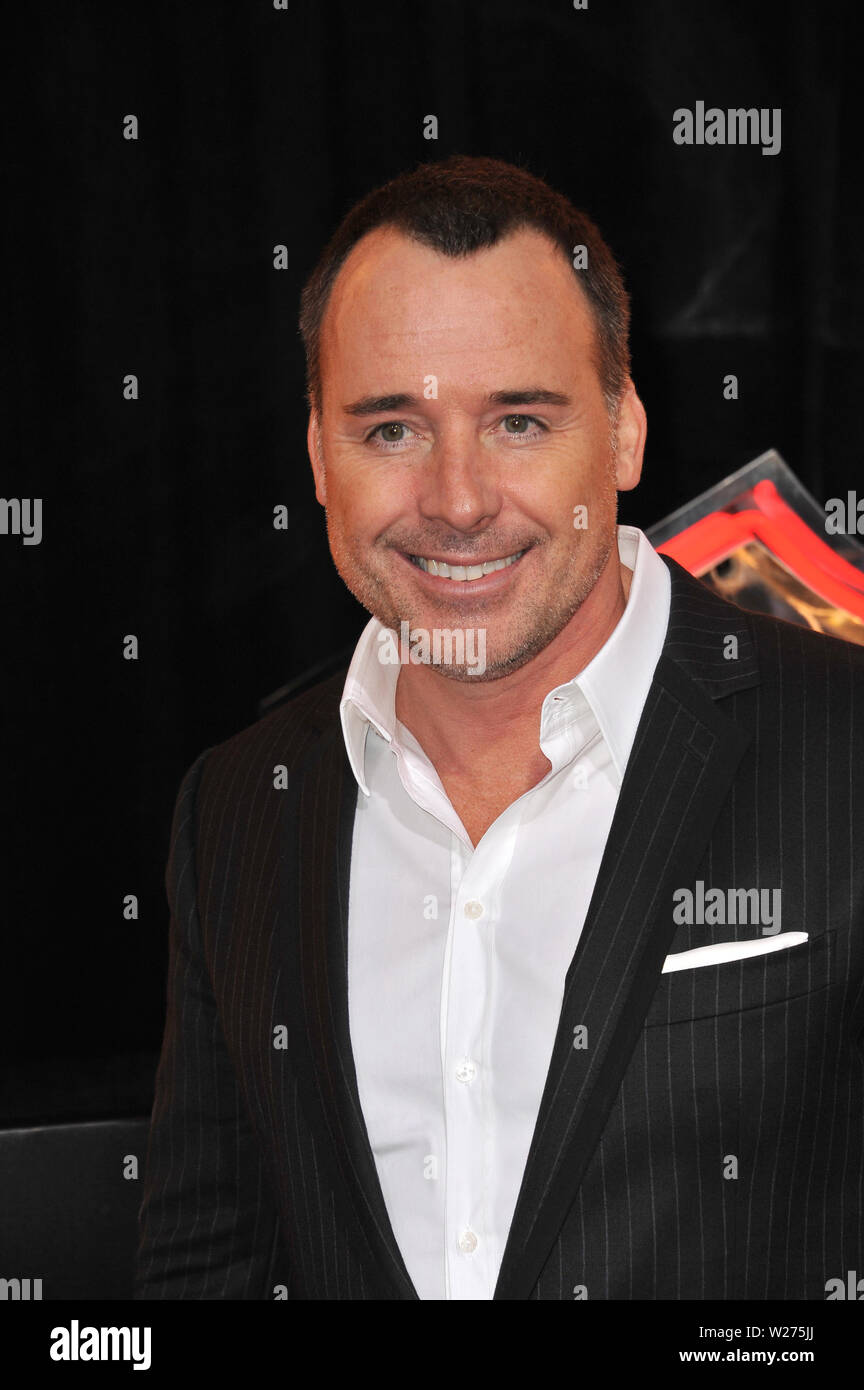 LOS ANGELES, CA. November 15, 2010: David Furnish at the Los Angeles ...