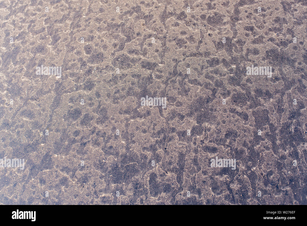 closeup texture of dry dust on car surface after short rain with ...