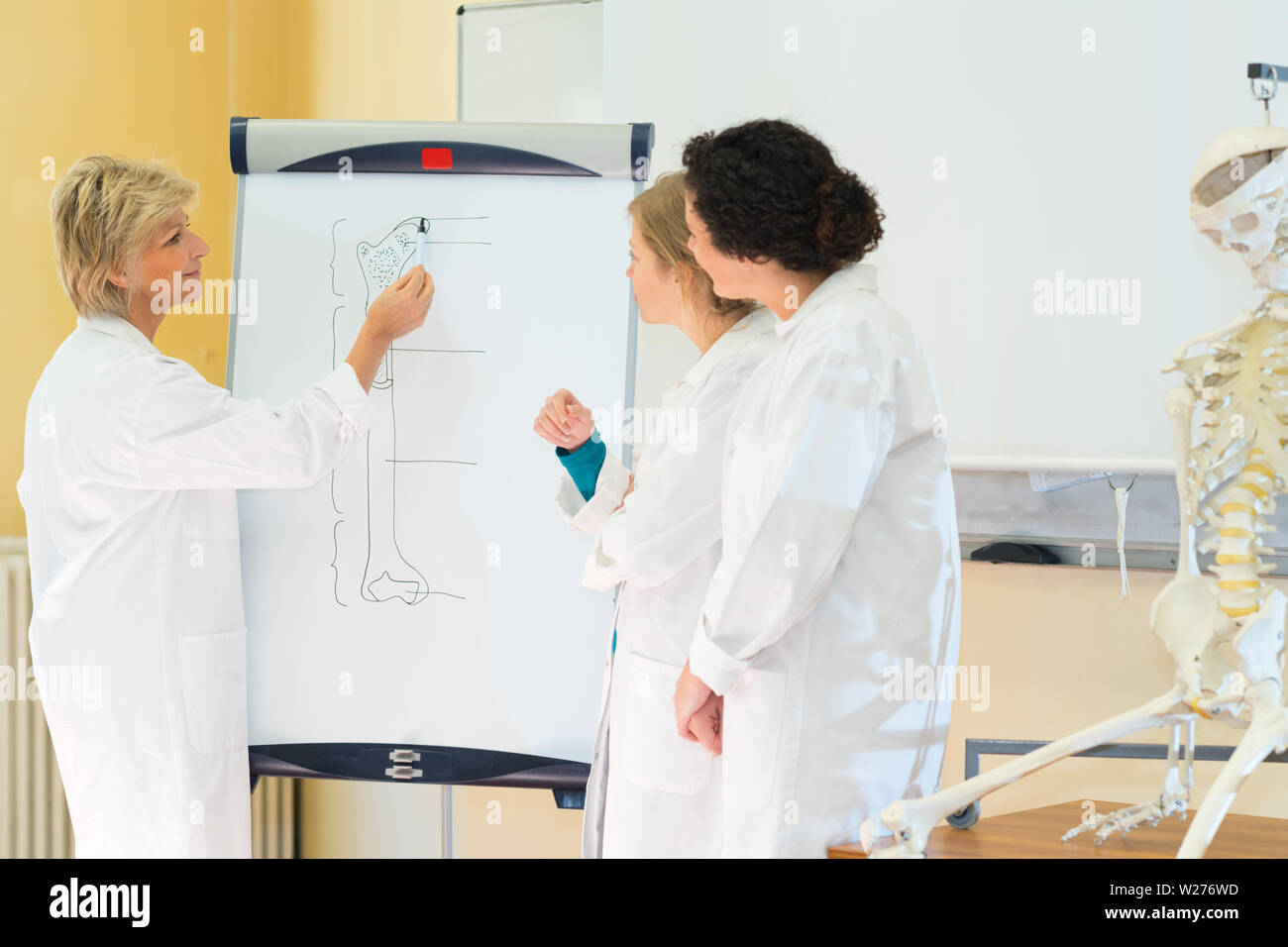 female teacher teaching human anatomy at biology class Stock Photo - Alamy