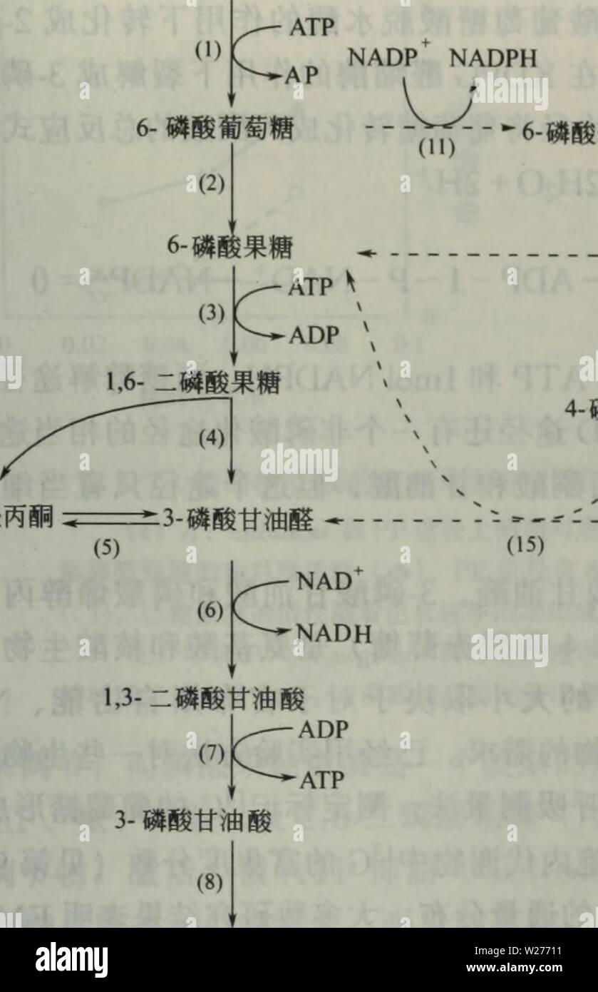 Archive image from page 44 of dai xie gong cheng (200312 Stock Photo ...