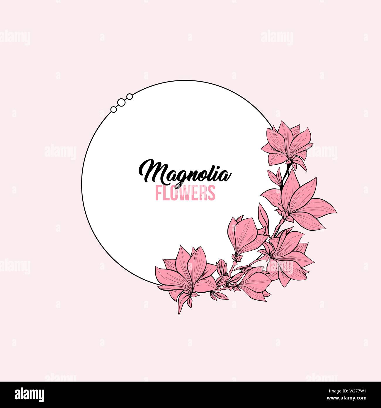 Spring magnolia blossom in Stock Vector Images - Alamy
