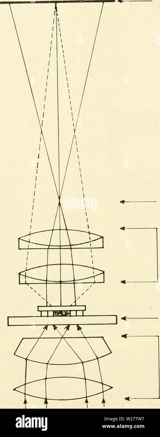 Optical microscope diagram hi-res stock photography and images - Alamy