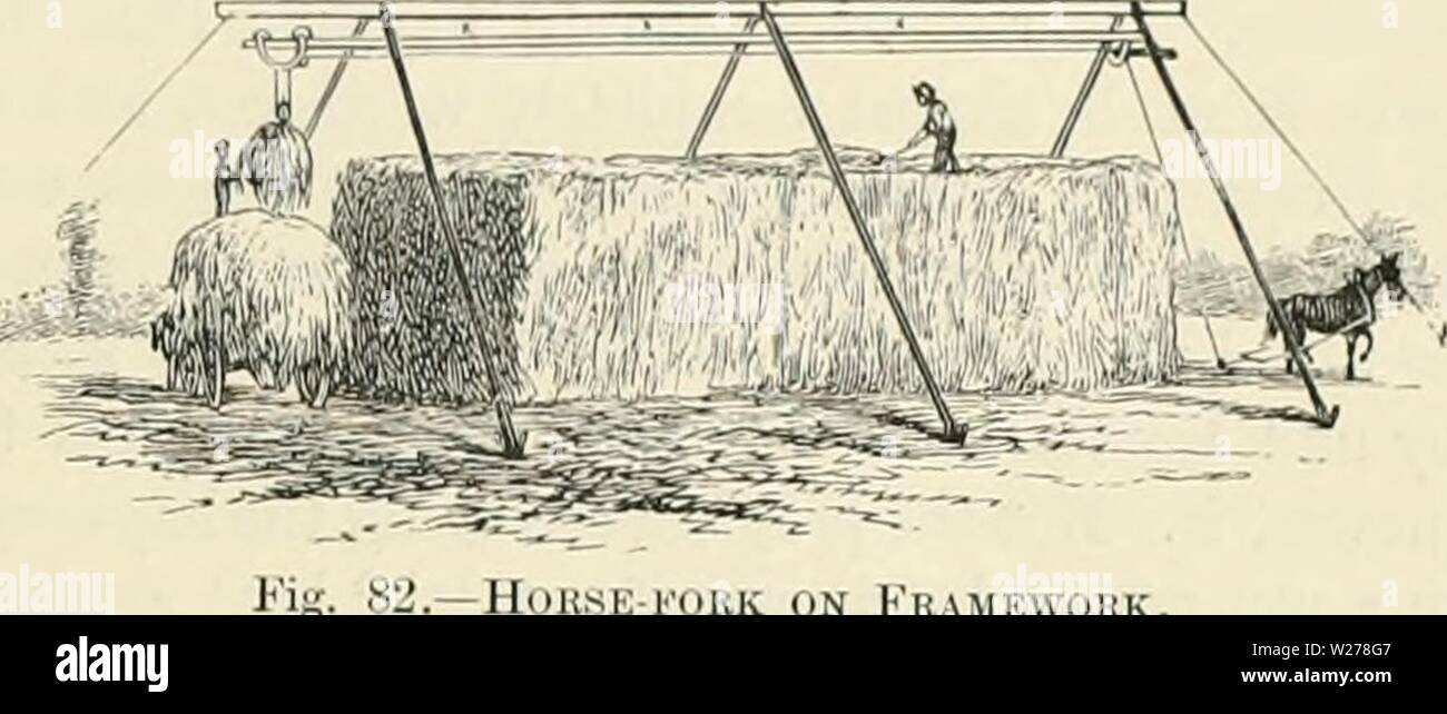 Pitching hay hi-res stock photography and images - Alamy