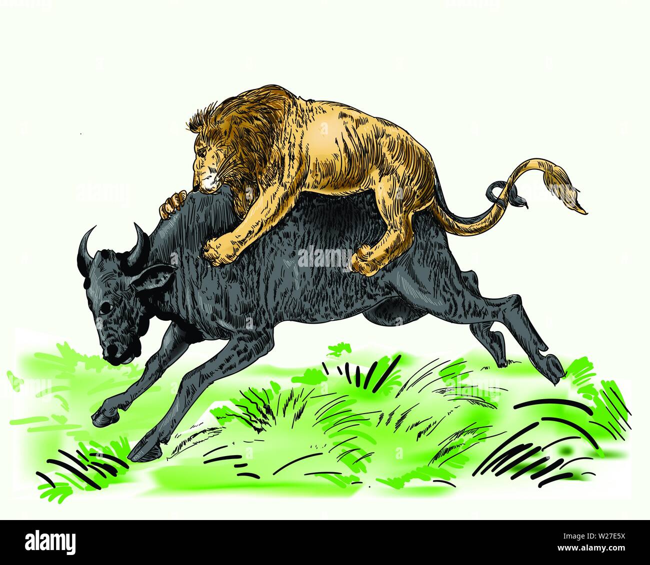 Buffalo hunt Stock Vector Images - Alamy