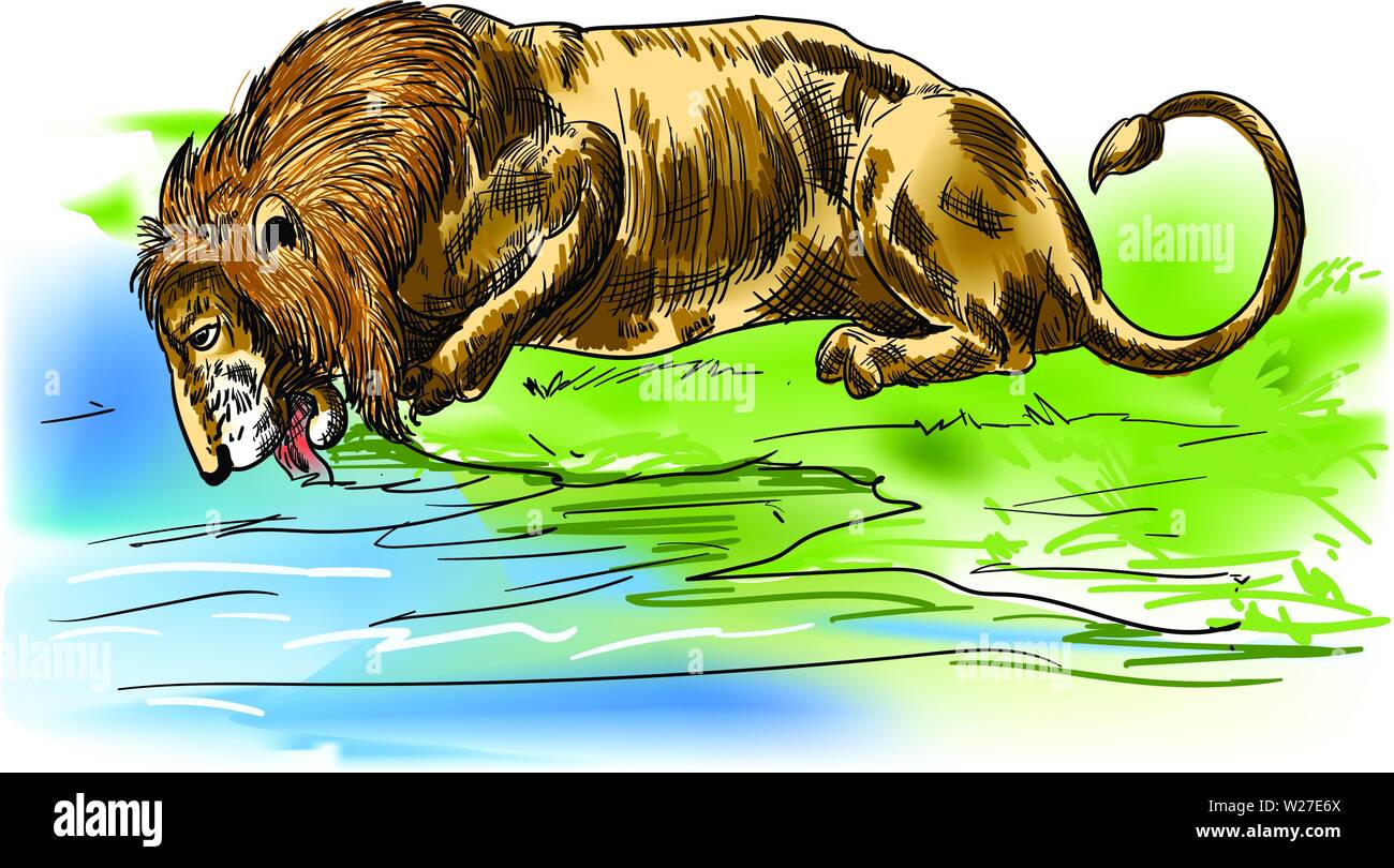 Loin drinking water vector silhouette Stock Vector Image & Art - Alamy
