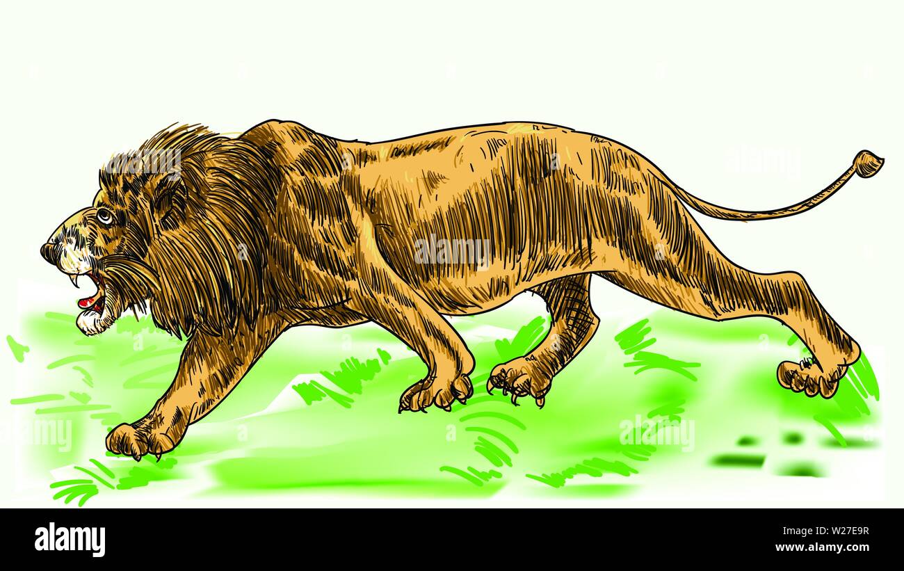 Loin standing vector silhouette Stock Vector Image & Art - Alamy