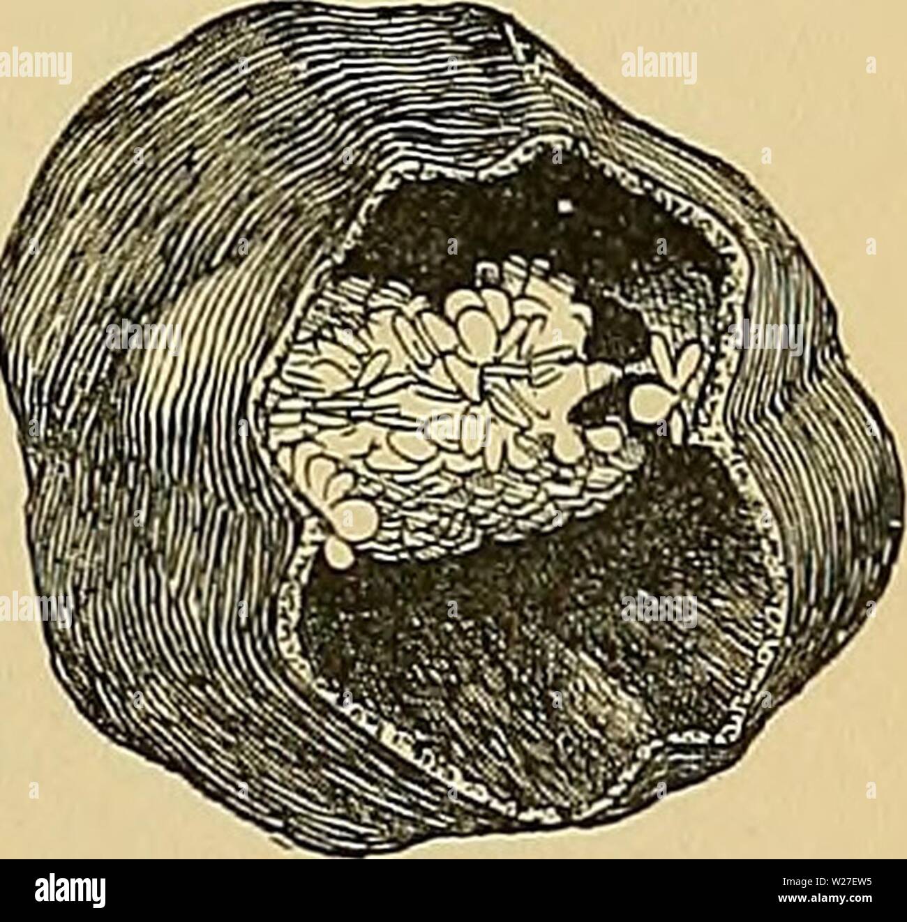 Bia miller hi-res stock photography and images - Alamy