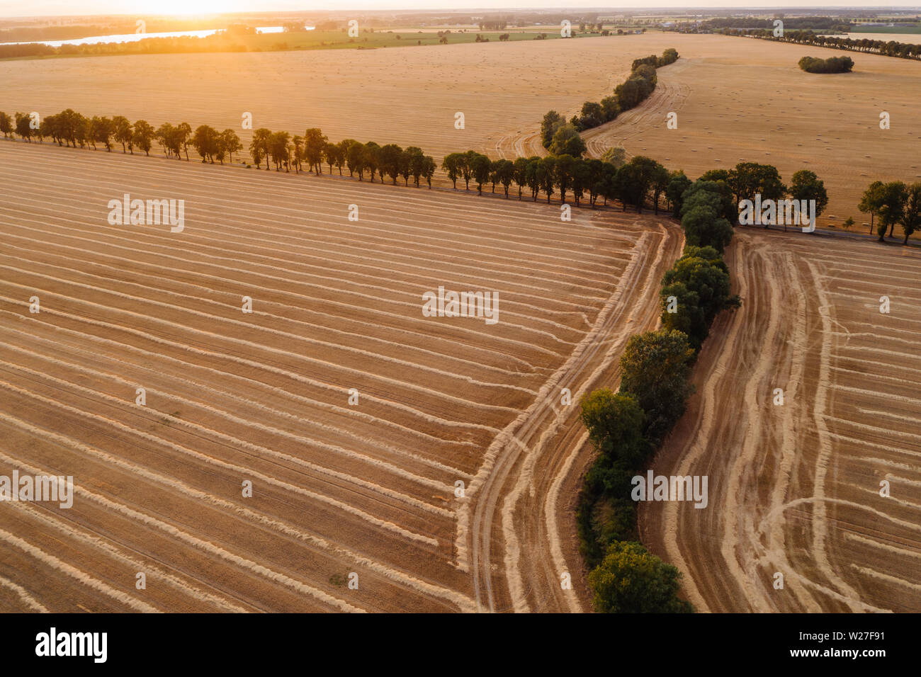 Aerial drone photography of farm lands. Agricultural parcels of flat ...