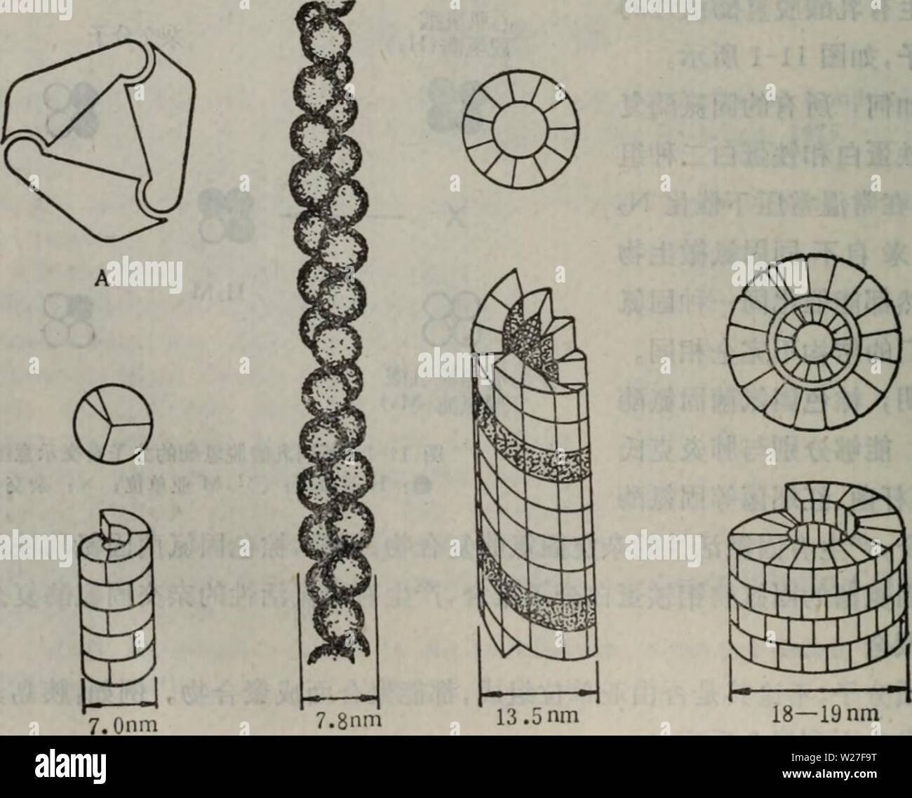 Archive image from page 273 of dan bai zhi fen zi Stock Photo - Alamy